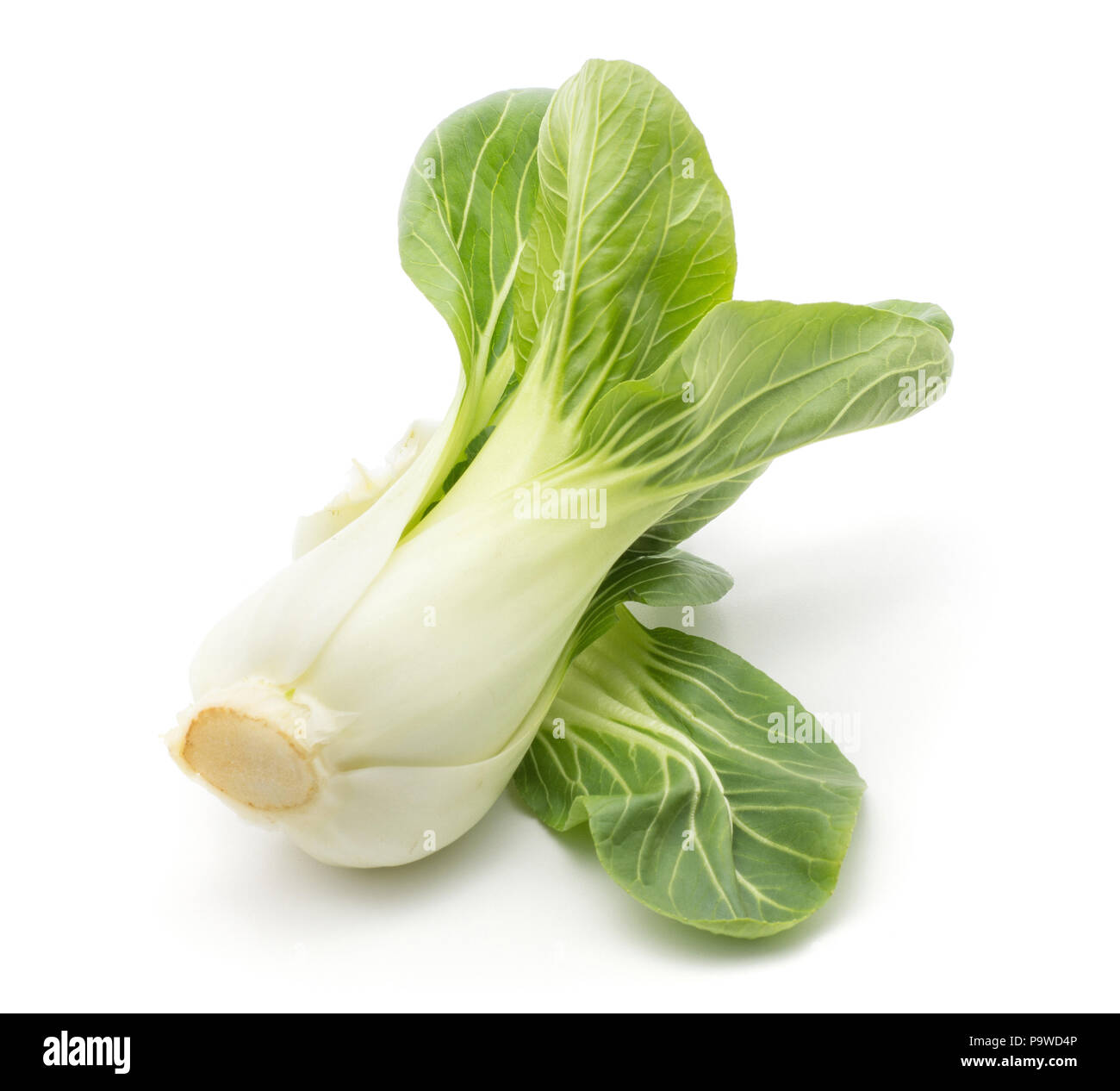 One bok choy (Pak choi) with separated leaf isolated on white ...