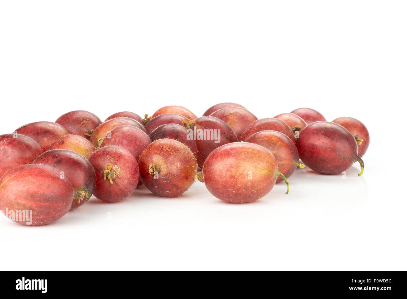 ‘hinnomaki red’ gooseberry hi-res stock photography and images - Alamy