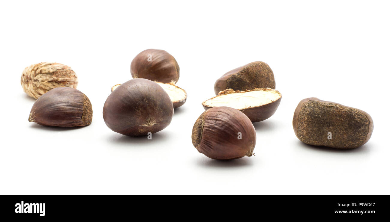 European chestnuts Spanish edible set isolated on white background raw ...