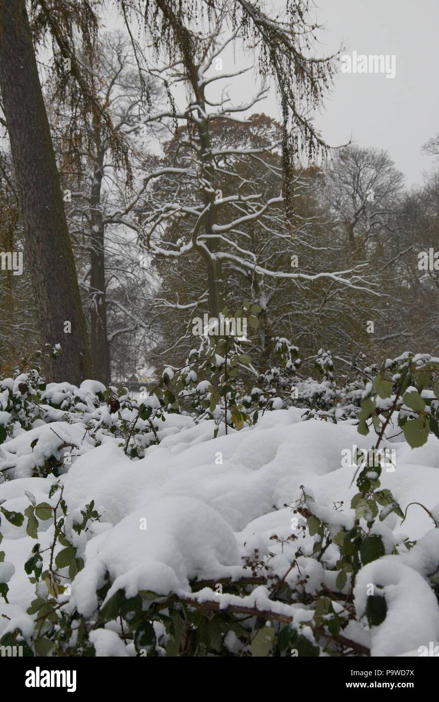 Landscapes , Flowers and wildlife Stock Photo - Alamy