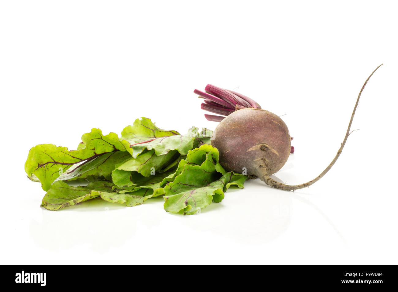 One red beet with green fresh leaves isolated on white background one ...