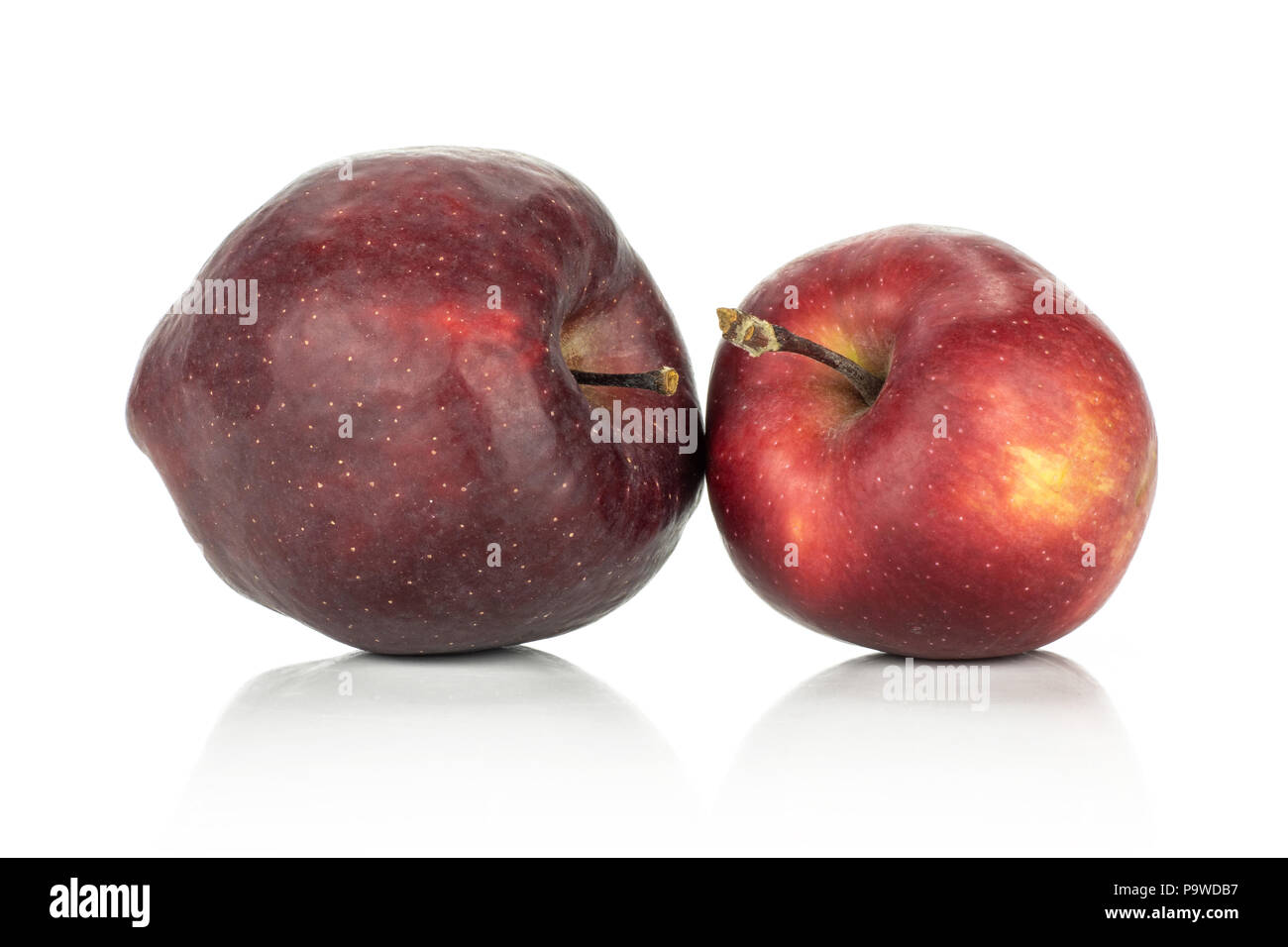Two apples red delicious isolated on white background light and deep ...