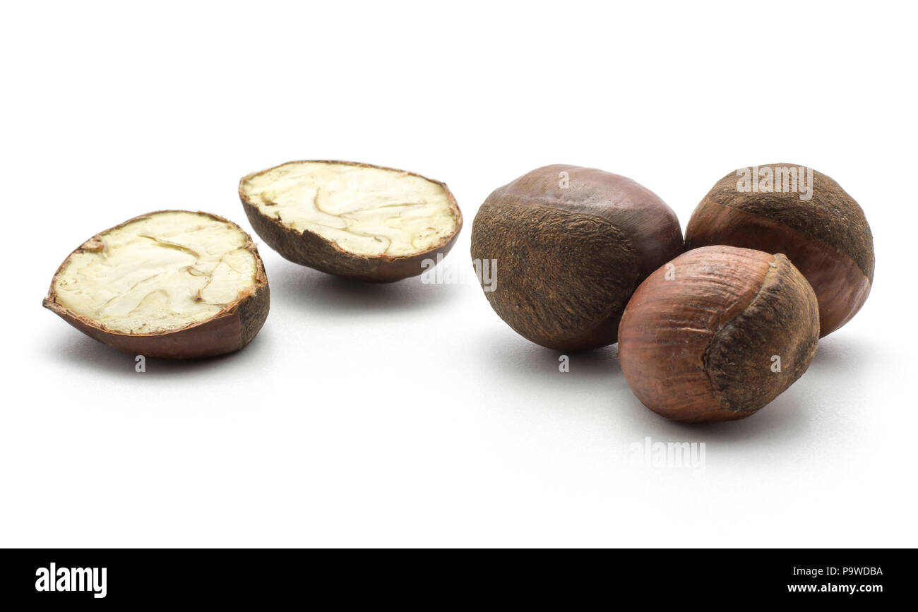 European chestnuts one cut in two halves isolated on white background ...