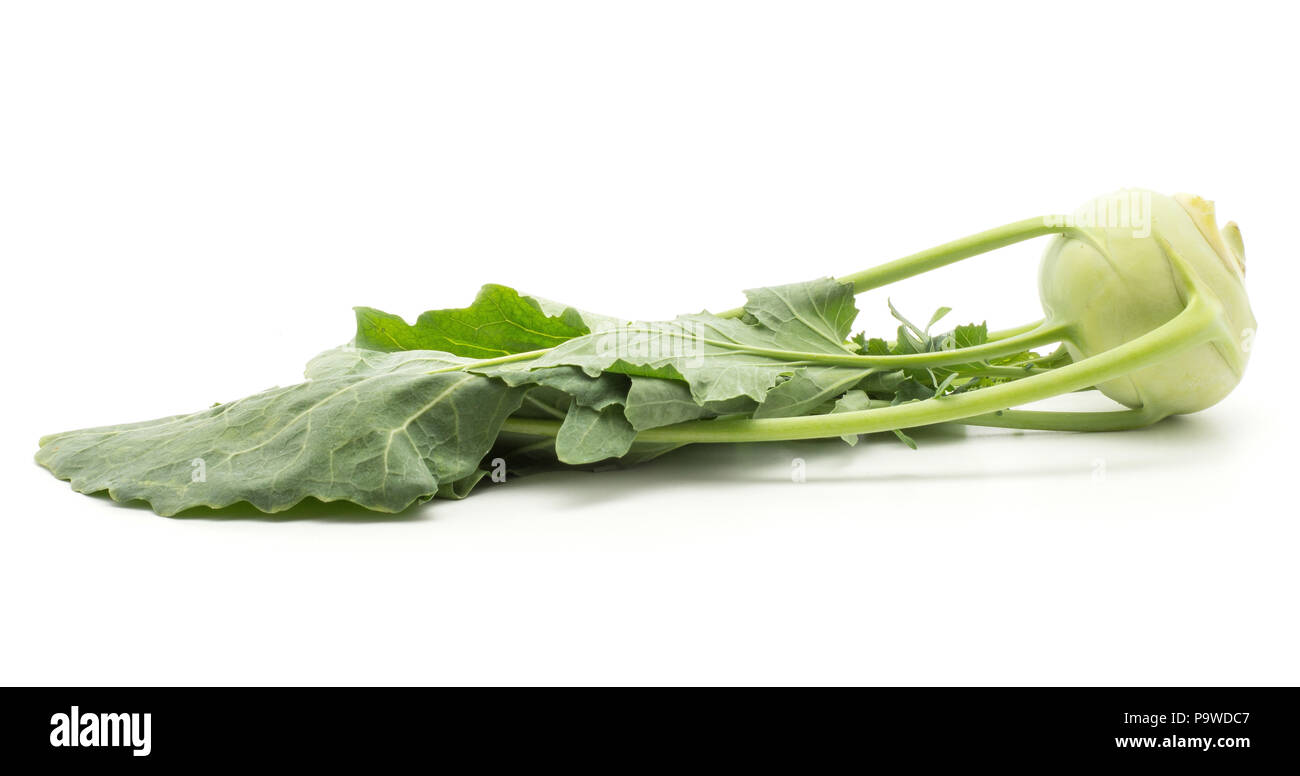 One kohlrabi (German turnip or turnip cabbage) bulb with fresh leaves ...