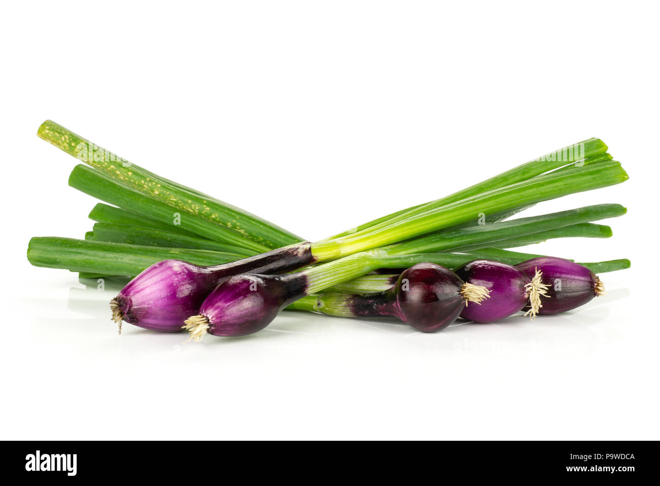 Group of five whole fresh green spring onion red scallion variety set ...