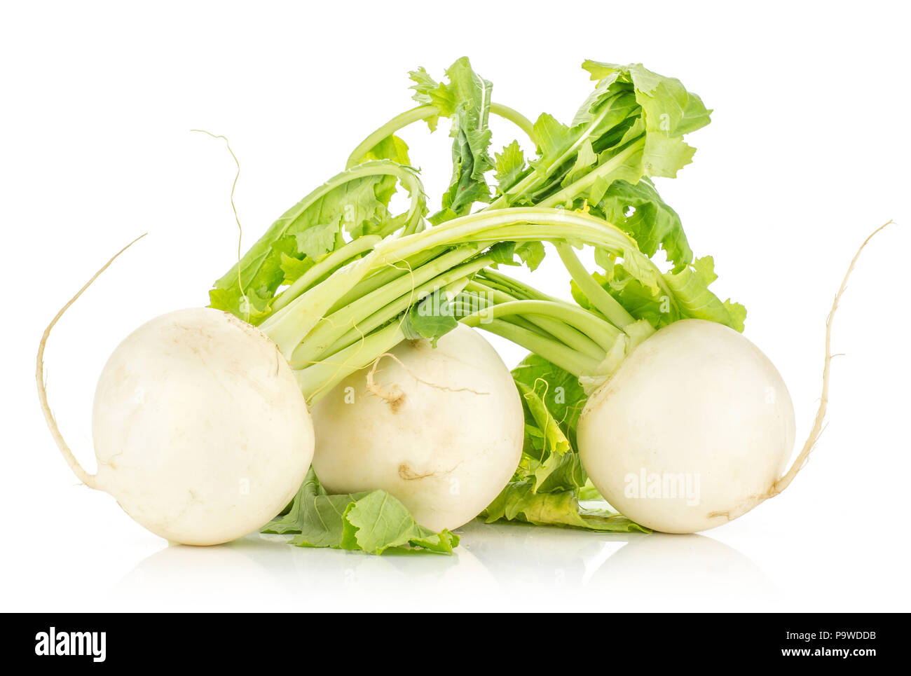 Three white radish bulbs set with fresh leaves isolated on white ...
