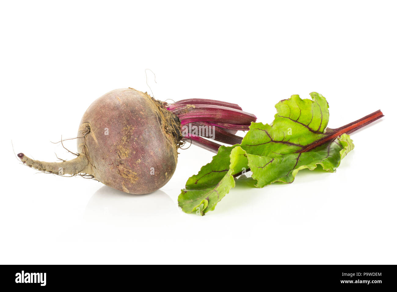 One red beet with cut tops isolated on white background one root bulb ...