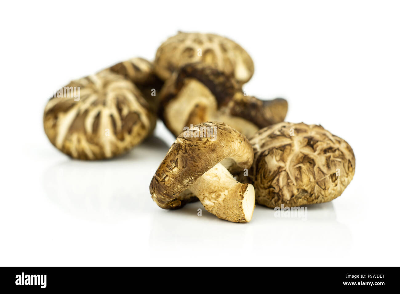 Fresh raw brown shiitake mushroom isolated on white Stock Photo - Alamy