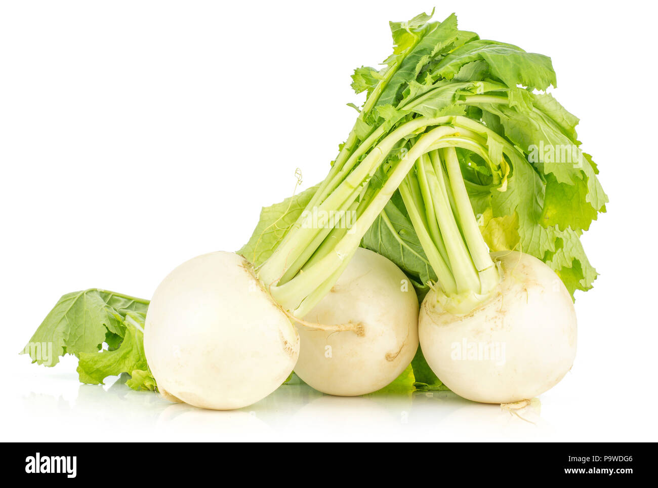 Three white radish bulbs with fresh leaves isolated on white background ...