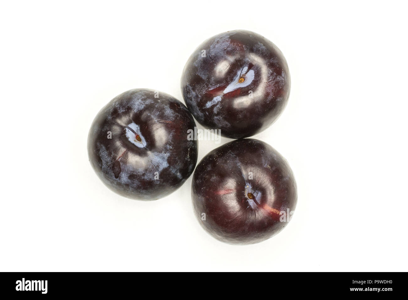 Three red blue plums top view isolated on white background round whole ...