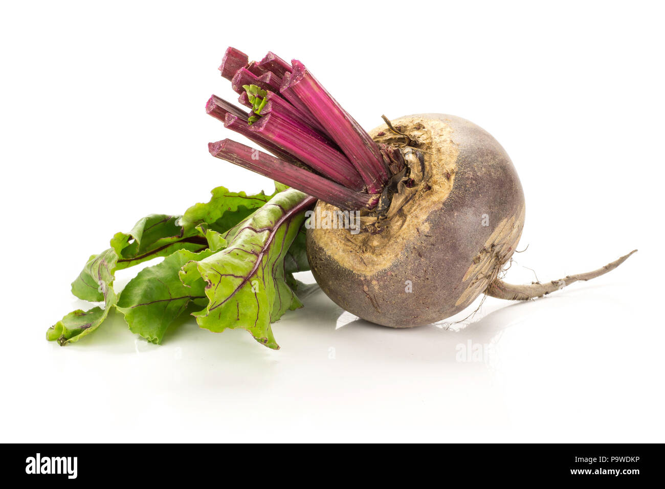 One red beet with cut tops isolated on white background one bulb with ...