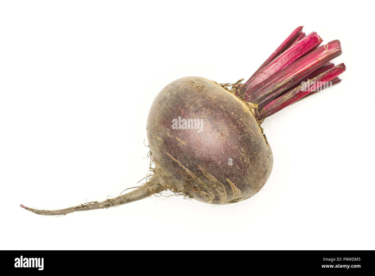 One red beet young bulb flatlay isolated on white background top view ...