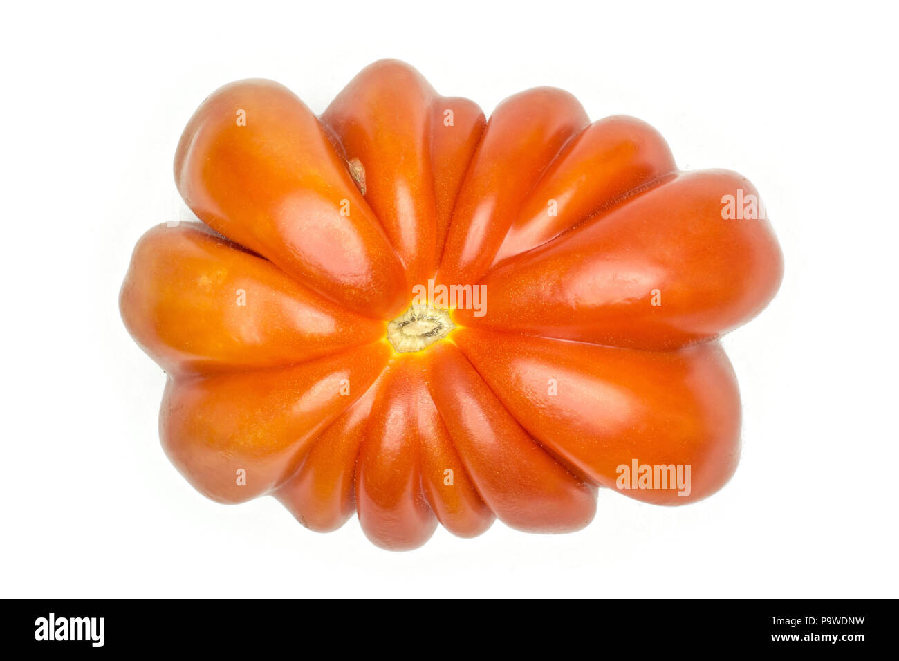 Beef tomato (flower shape) top view isolated on white background one ...