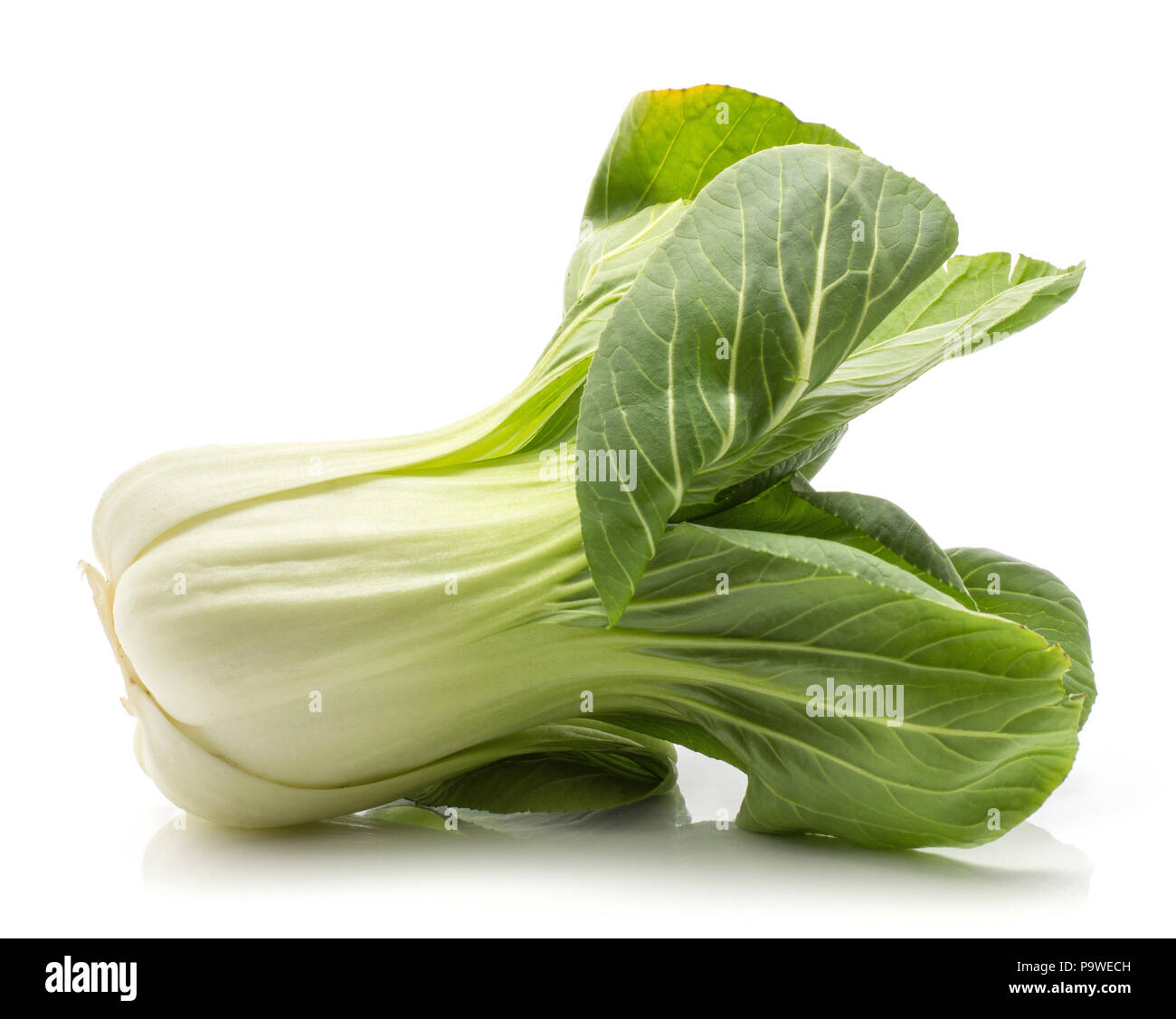 Bokchoy bok choy Cut Out Stock Images & Pictures - Alamy