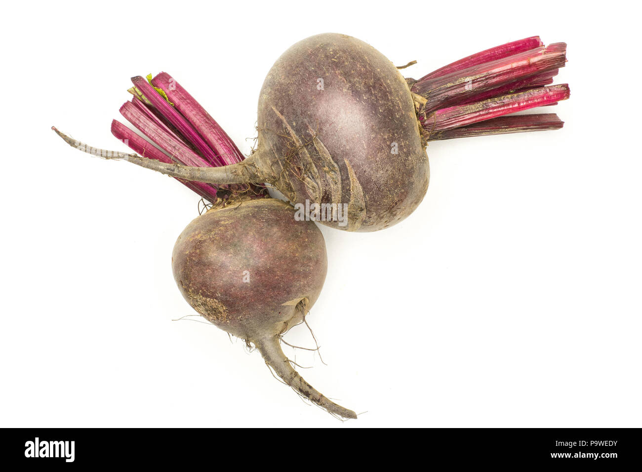 Two red beet young bulbs flatlay isolated on white background top view ...