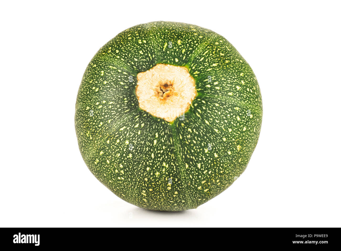 Fresh round zucchini one summer squash isolated on white background ...