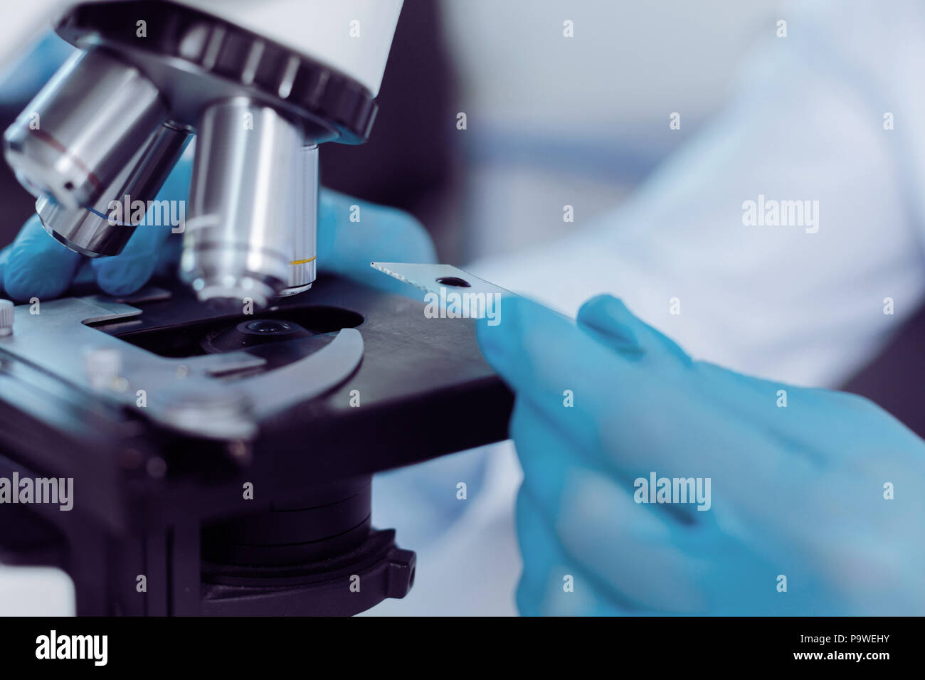 Biological analysis. Close up of a microscope slide with a test sample ...