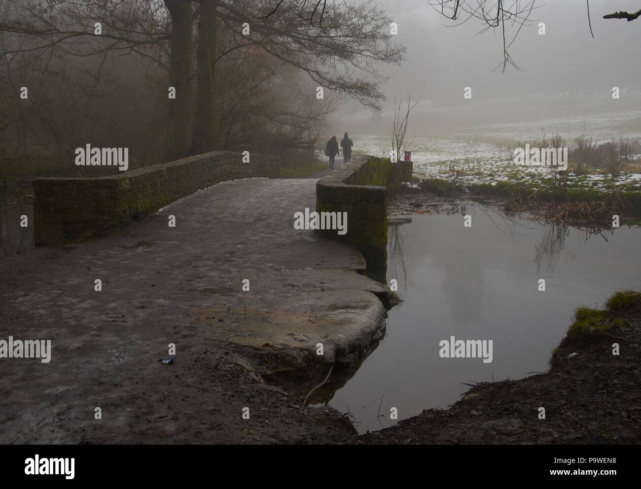 Landscapes , Flowers and wildlife Stock Photo - Alamy