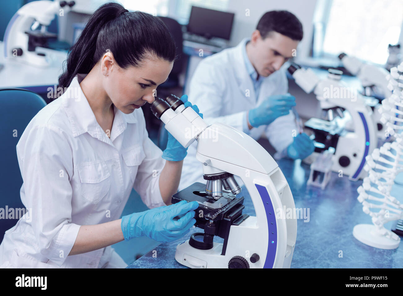 Genetic studies. Smart female genetic researcher looking into the ...