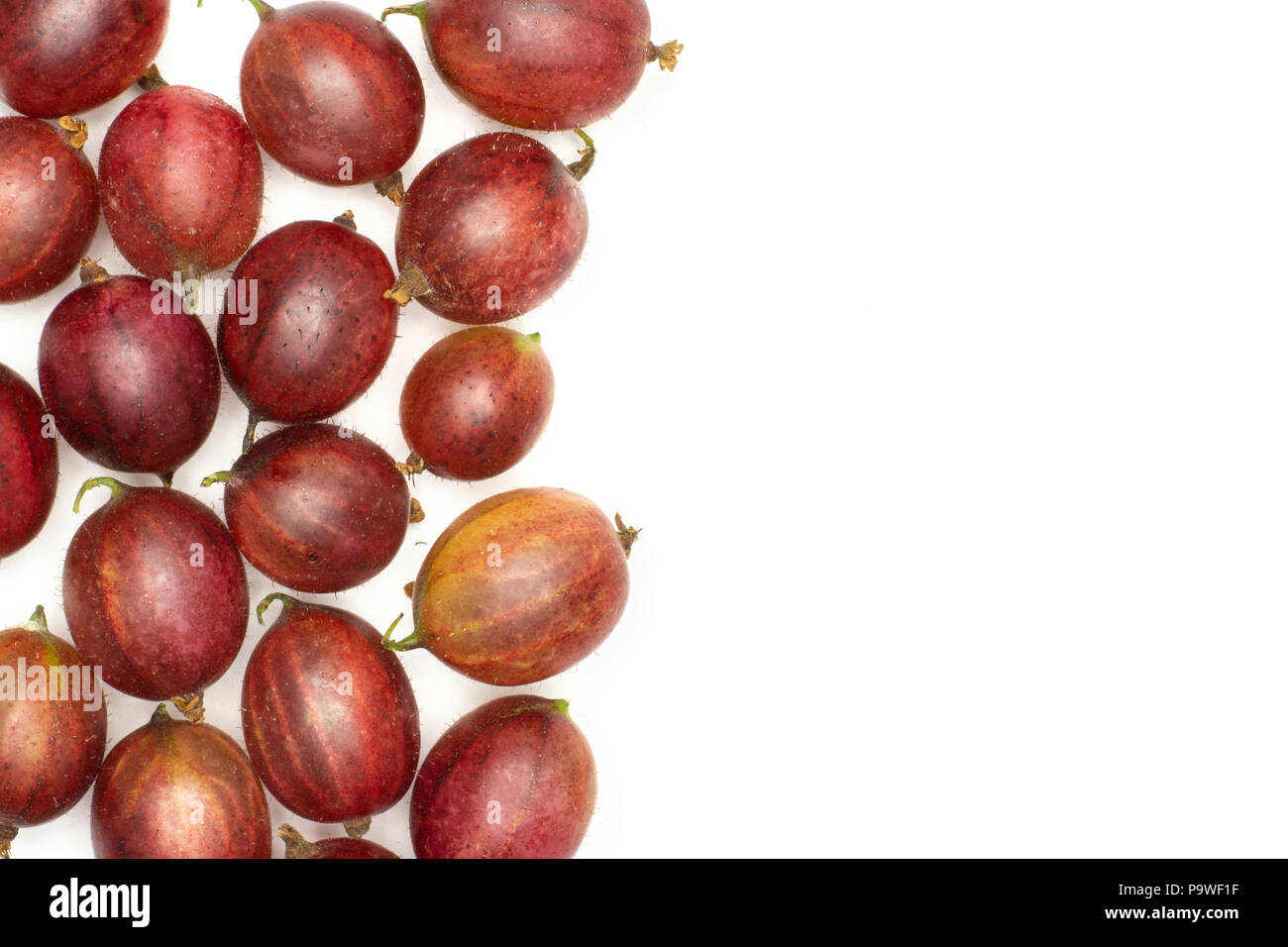 Lot of whole fresh red gooseberry hinnomaki variety left corner flatlay ...