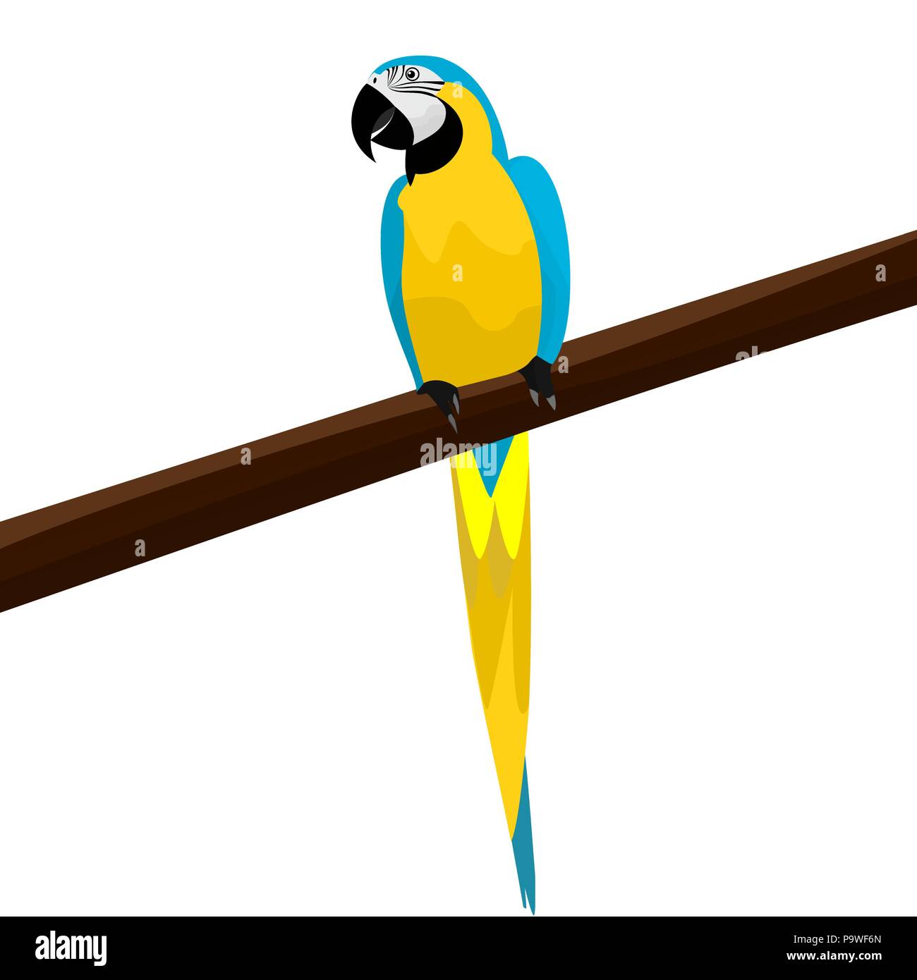 Beautiful parrot bird sitting on Stock Vector Images - Alamy