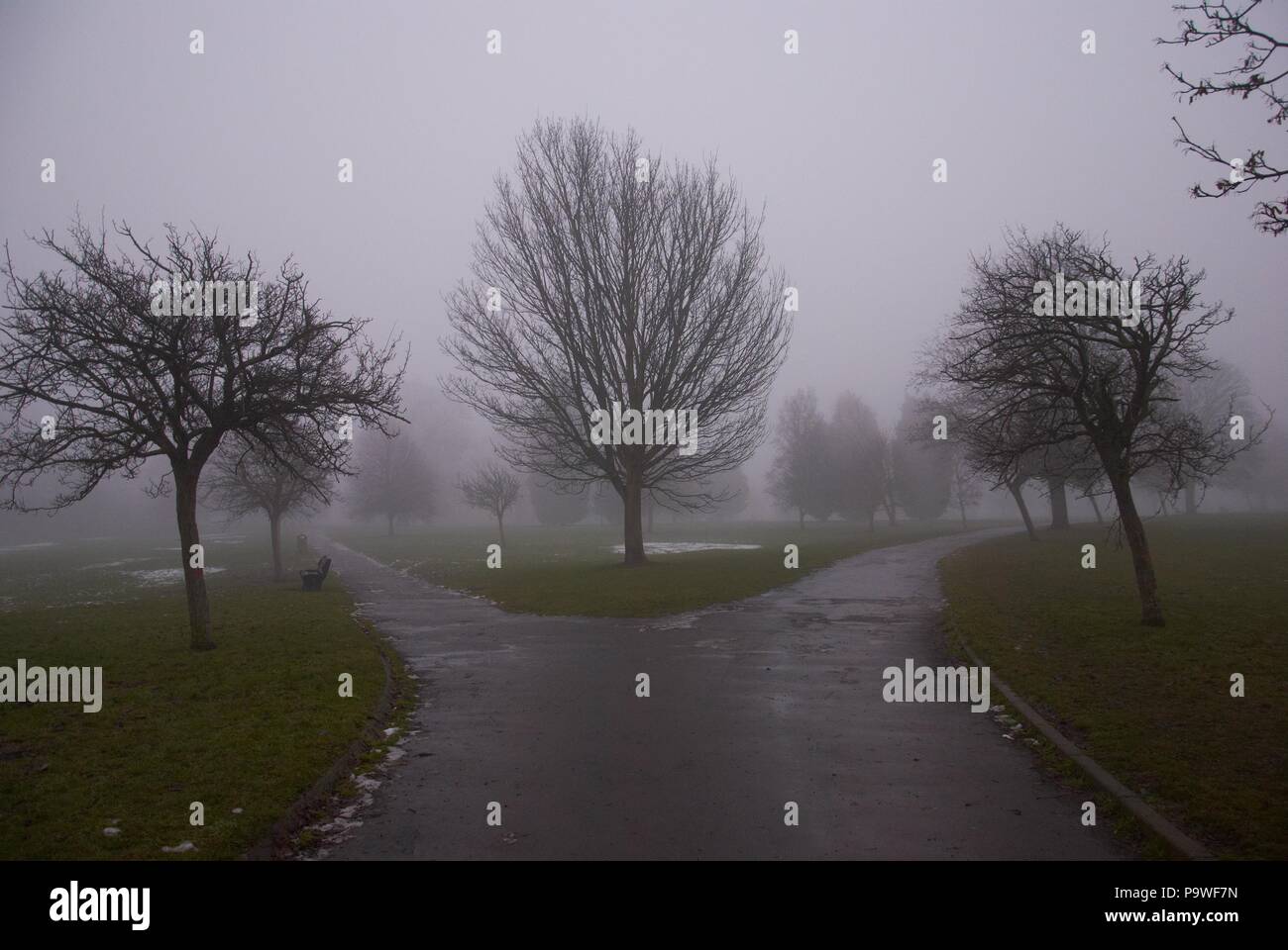 Landscapes , Flowers and wildlife Stock Photo - Alamy