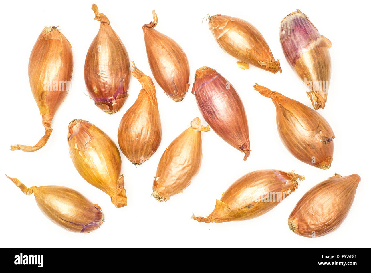 Long golden shallots top view isolated on white background Stock Photo ...