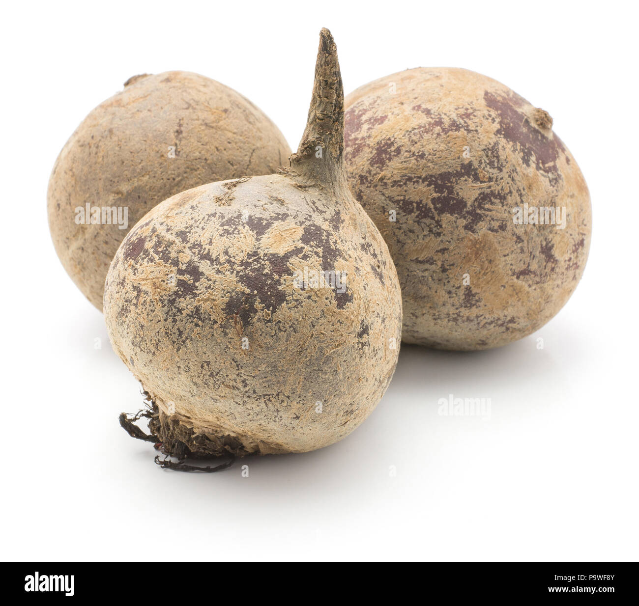 White fleshy taproot Cut Out Stock Images & Pictures - Alamy