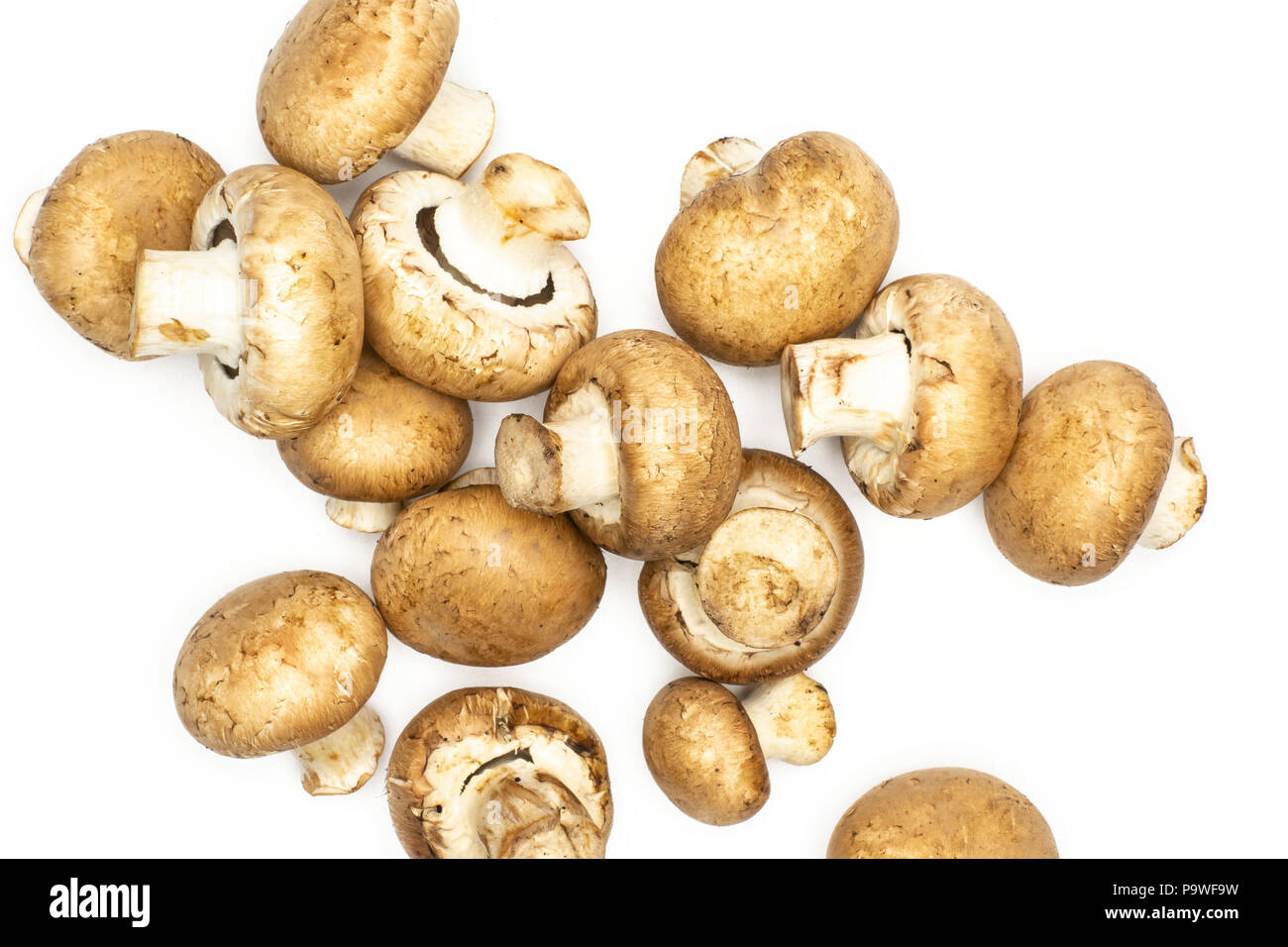 Fresh raw brown champignons flatlay isolated on white background Stock ...