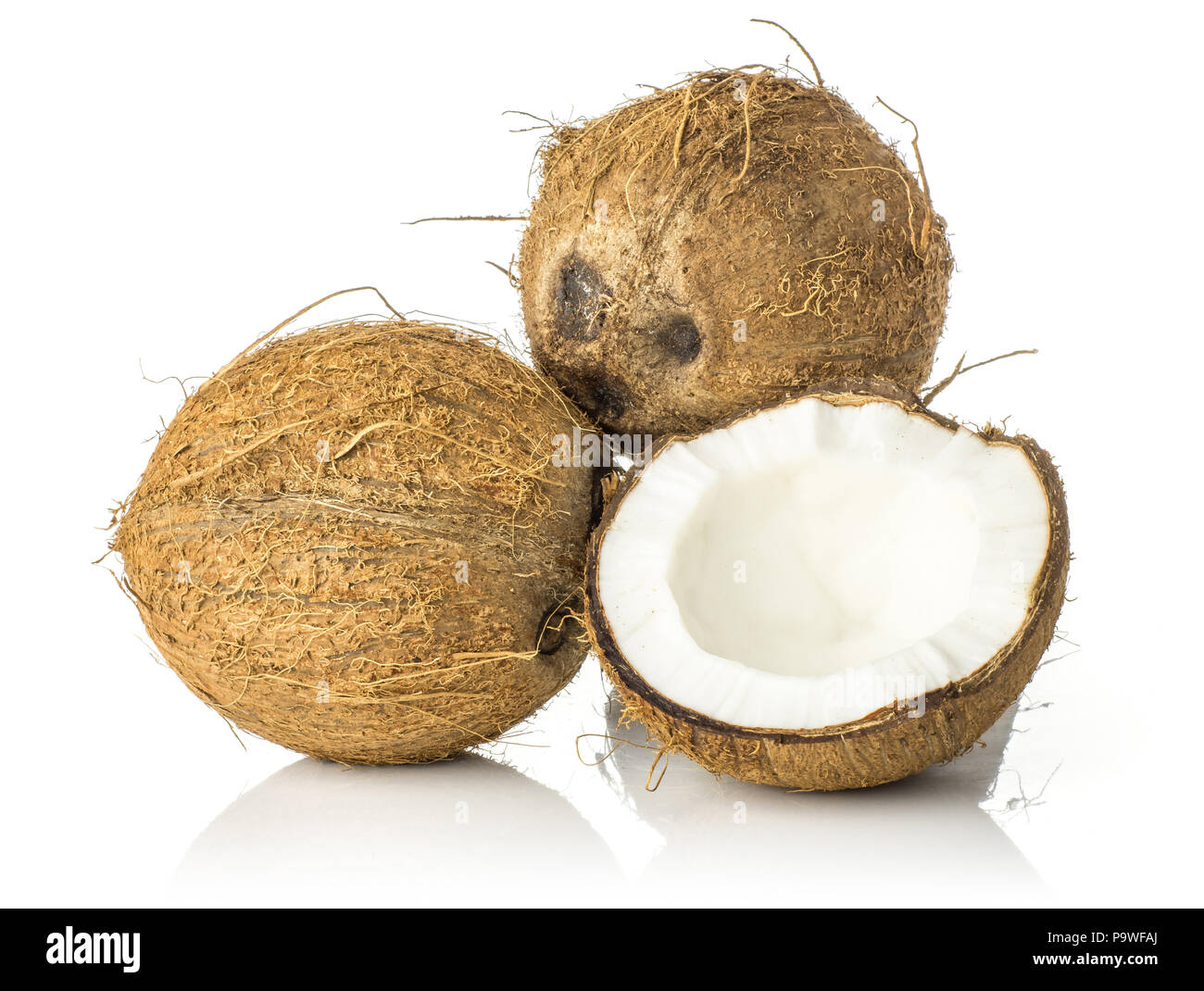 Two coconuts with one cracked half isolated on white background brown ...