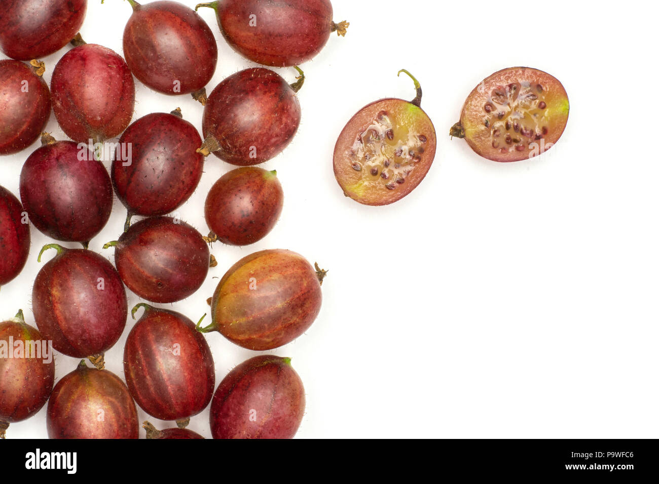 Gooseberry ‘hinnomaki red’ hi-res stock photography and images - Alamy