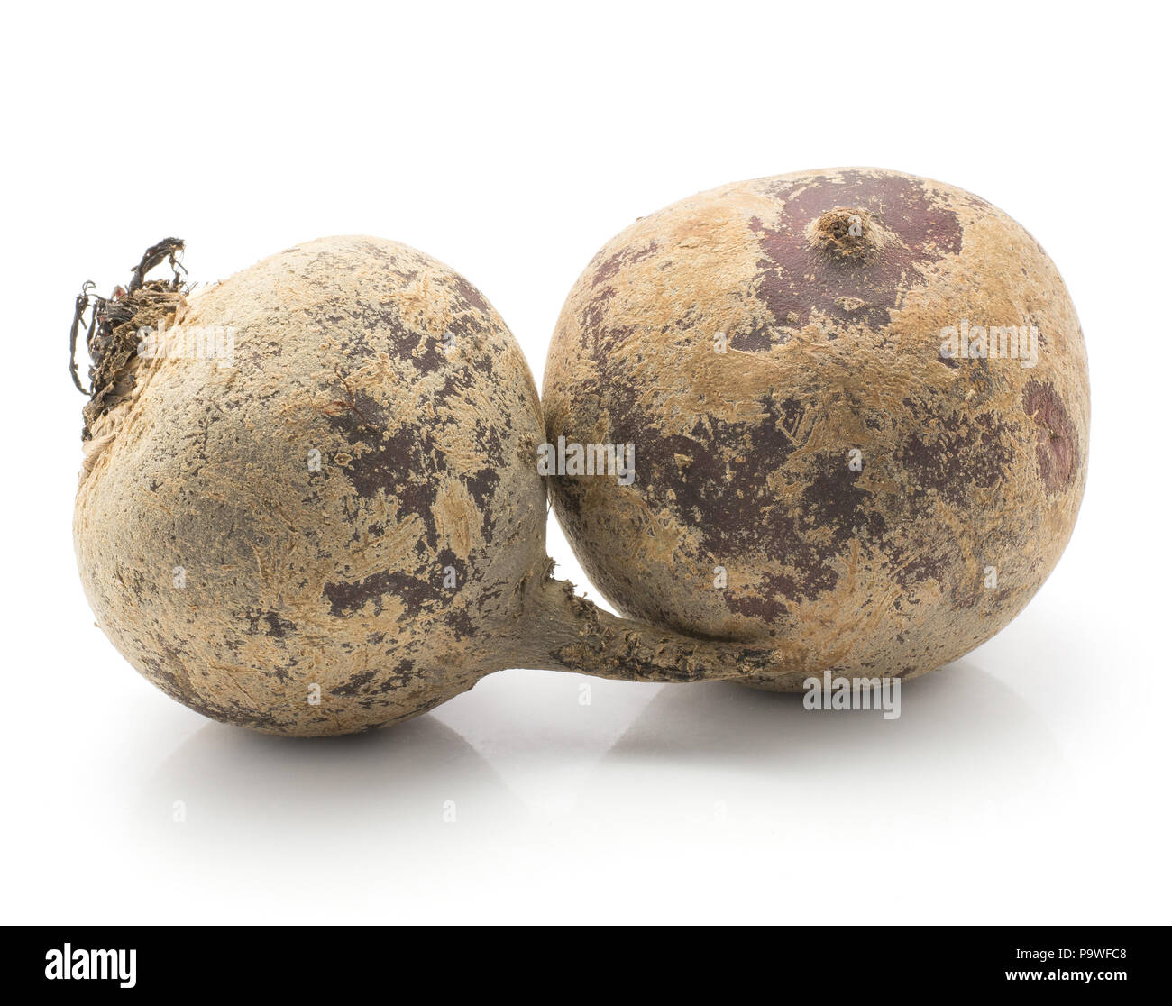 White fleshy taproot Cut Out Stock Images & Pictures - Alamy