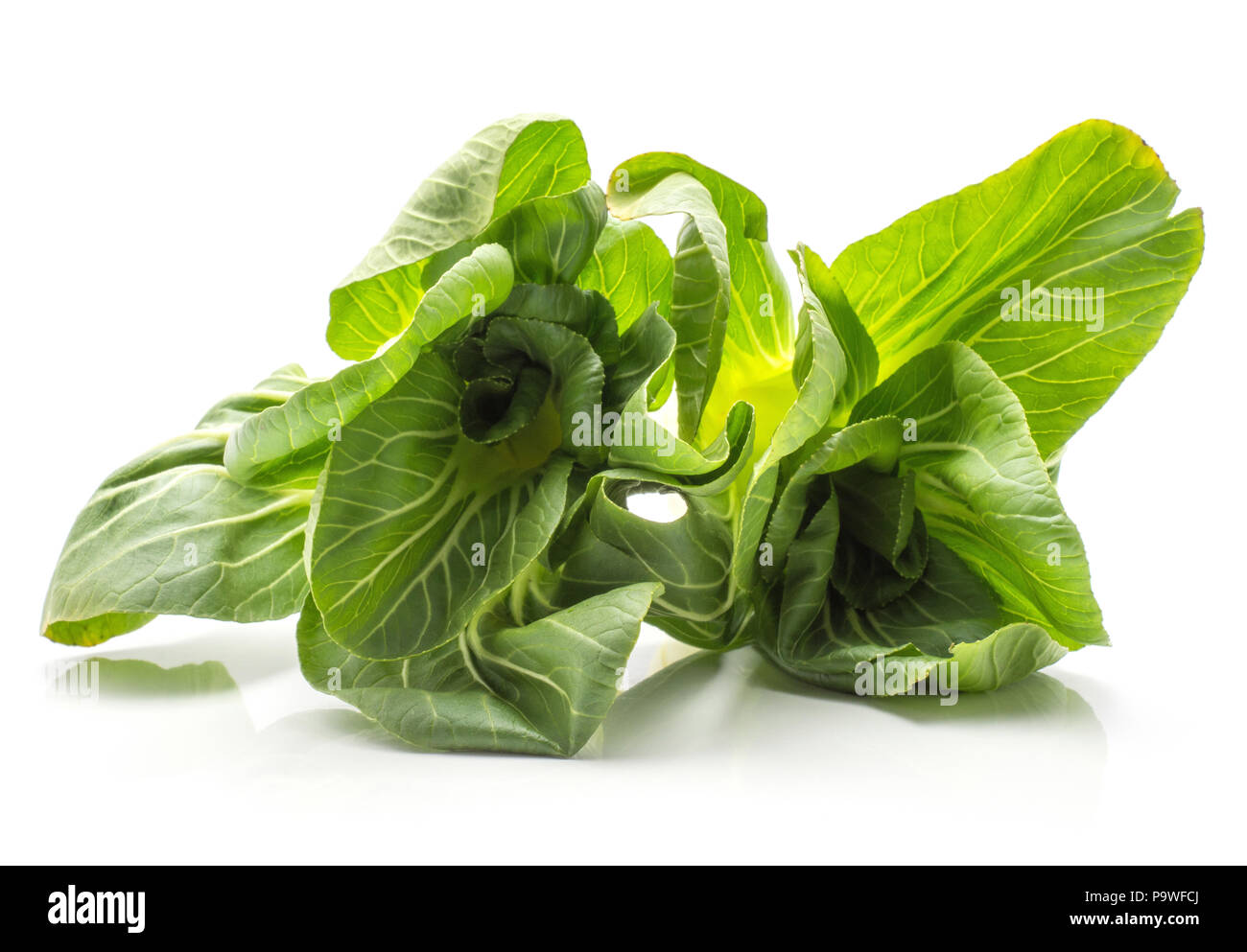Bok choy (Pak choi) two cabbages with green flowerlike leaves isolated ...