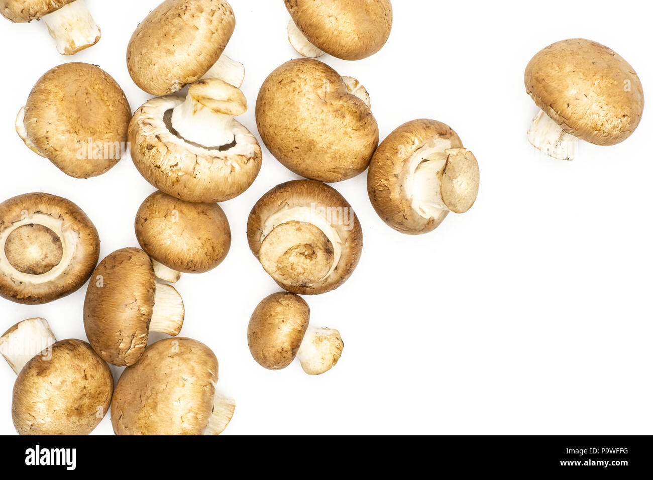 Fresh raw brown champignons table top isolated on white background ...