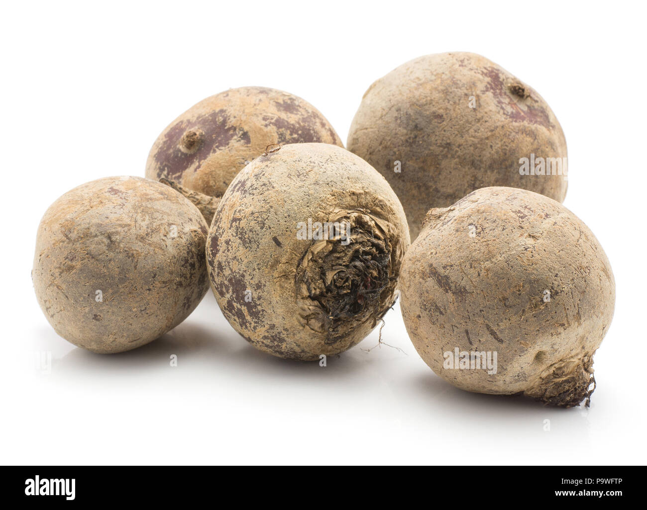 White fleshy taproot Cut Out Stock Images & Pictures - Alamy