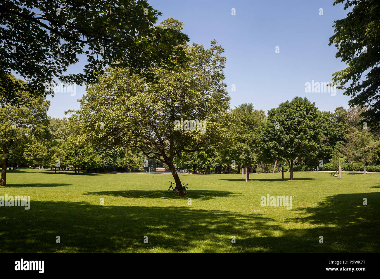 Beautiful park scene in the Volksgarten Park in Cologne, Germany Stock ...