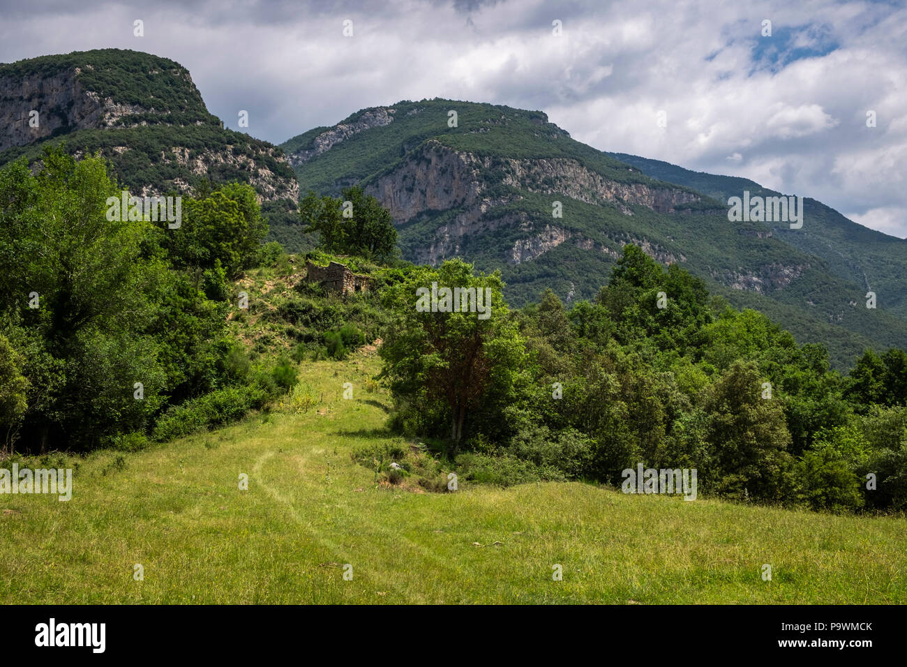 Coll joell hi-res stock photography and images - Alamy