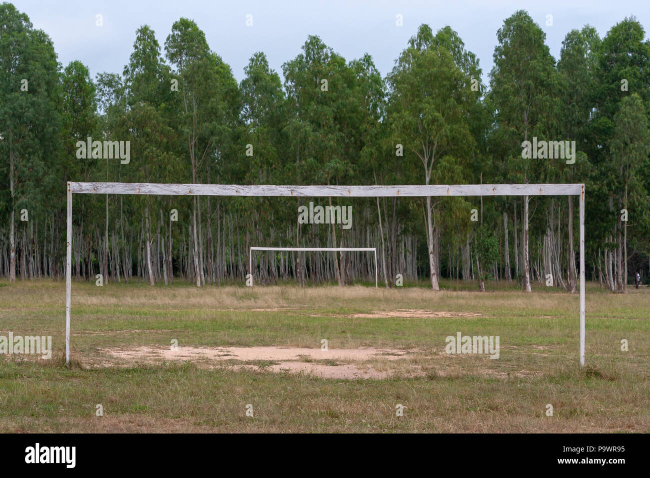 White back ground jungle hi-res stock photography and images - Alamy