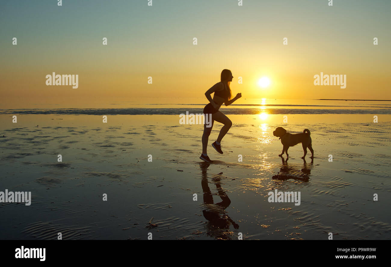 Woman running dog silhouette hi-res stock photography and images - Alamy