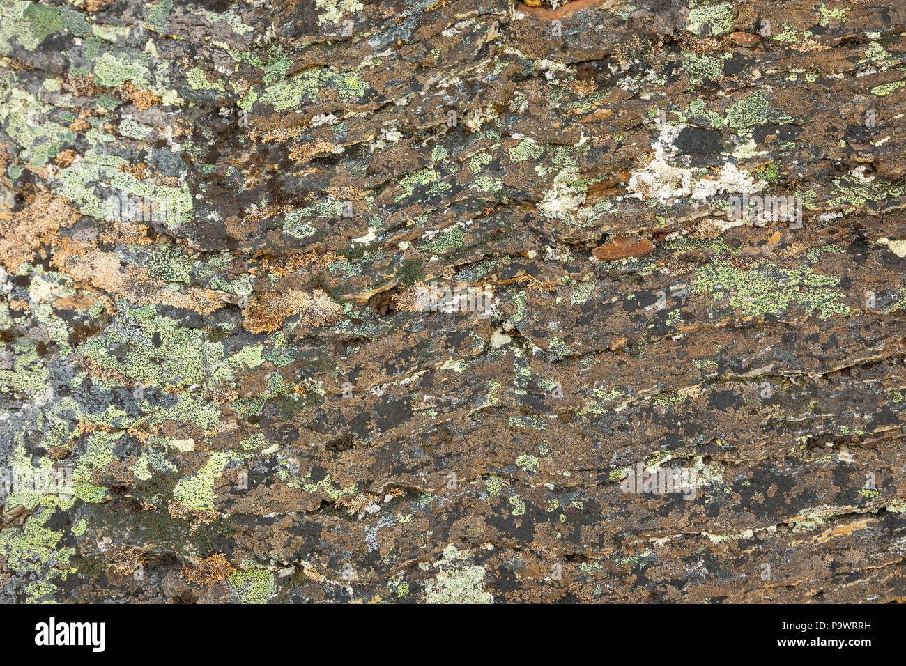 Greystonetexture hi-res stock photography and images - Alamy