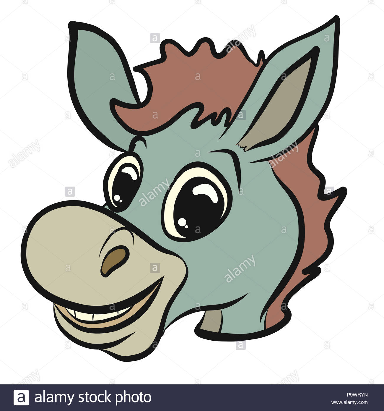 Donkey Teeth Stock Photos & Donkey Teeth Stock Images - Alamy