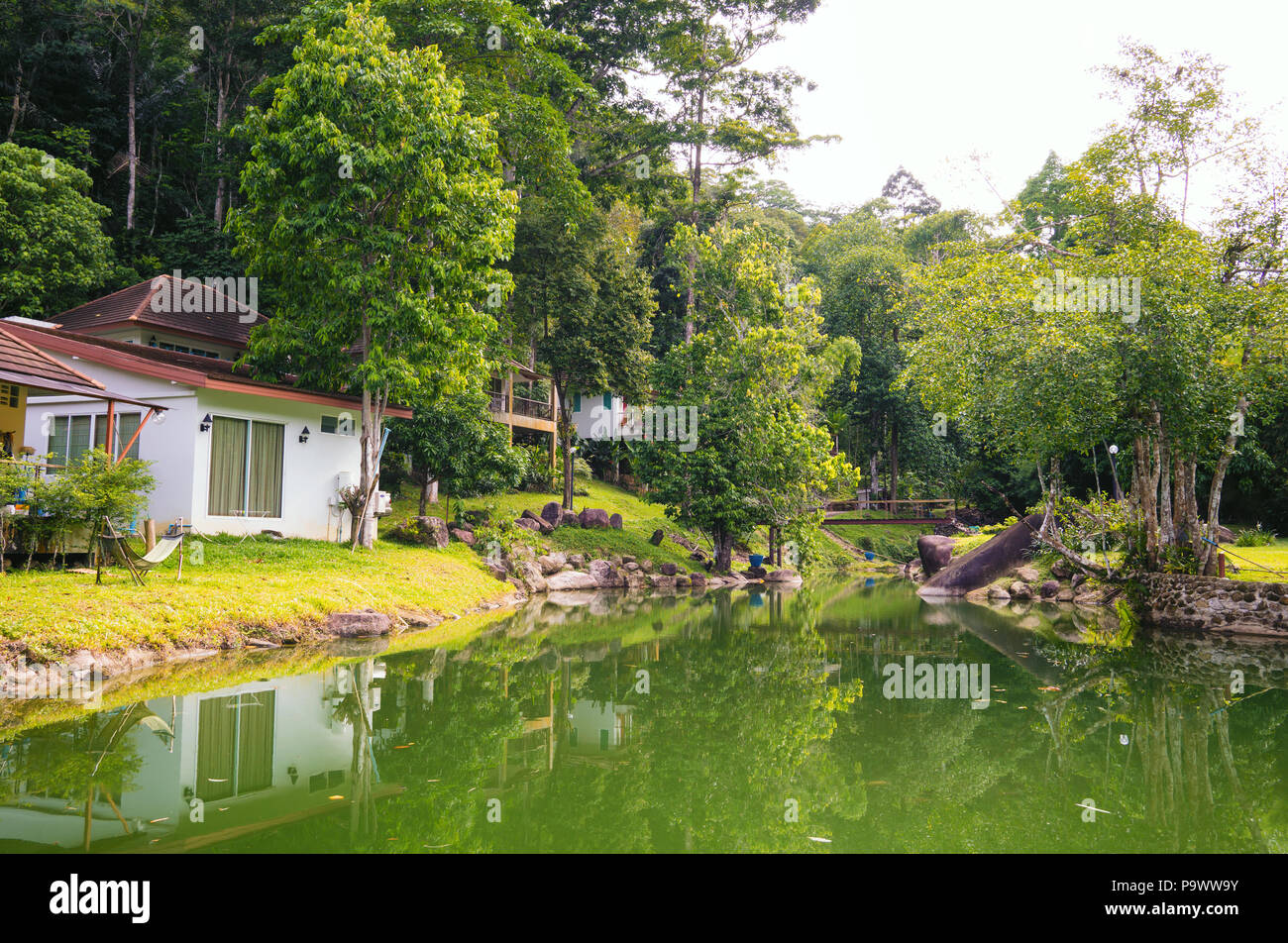 Phuket forest hi-res stock photography and images - Alamy