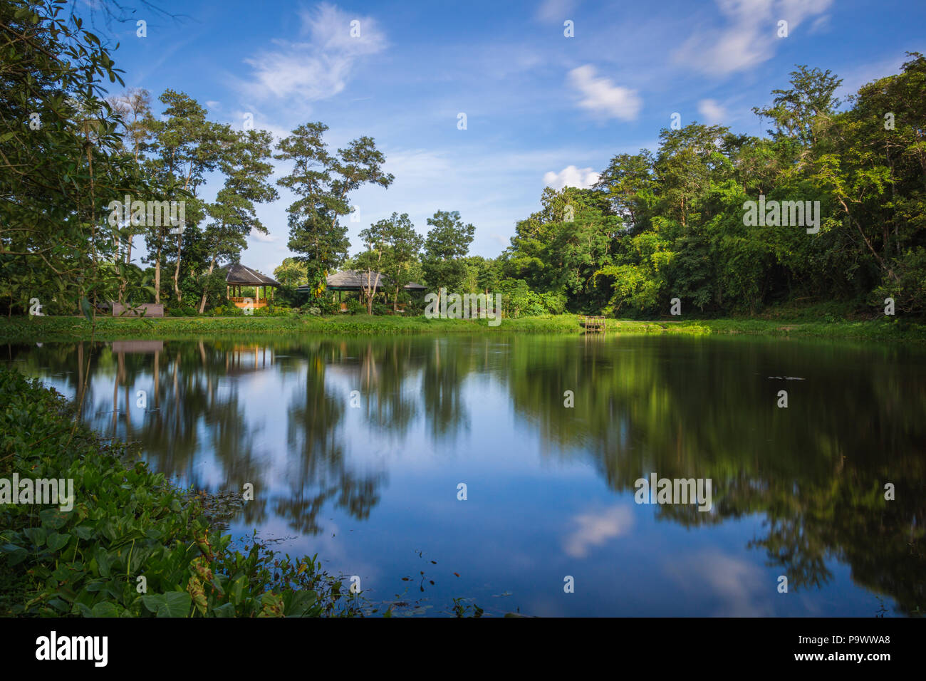 Kathu Waterfall in Phuket is a conservation area surrounding with the ...