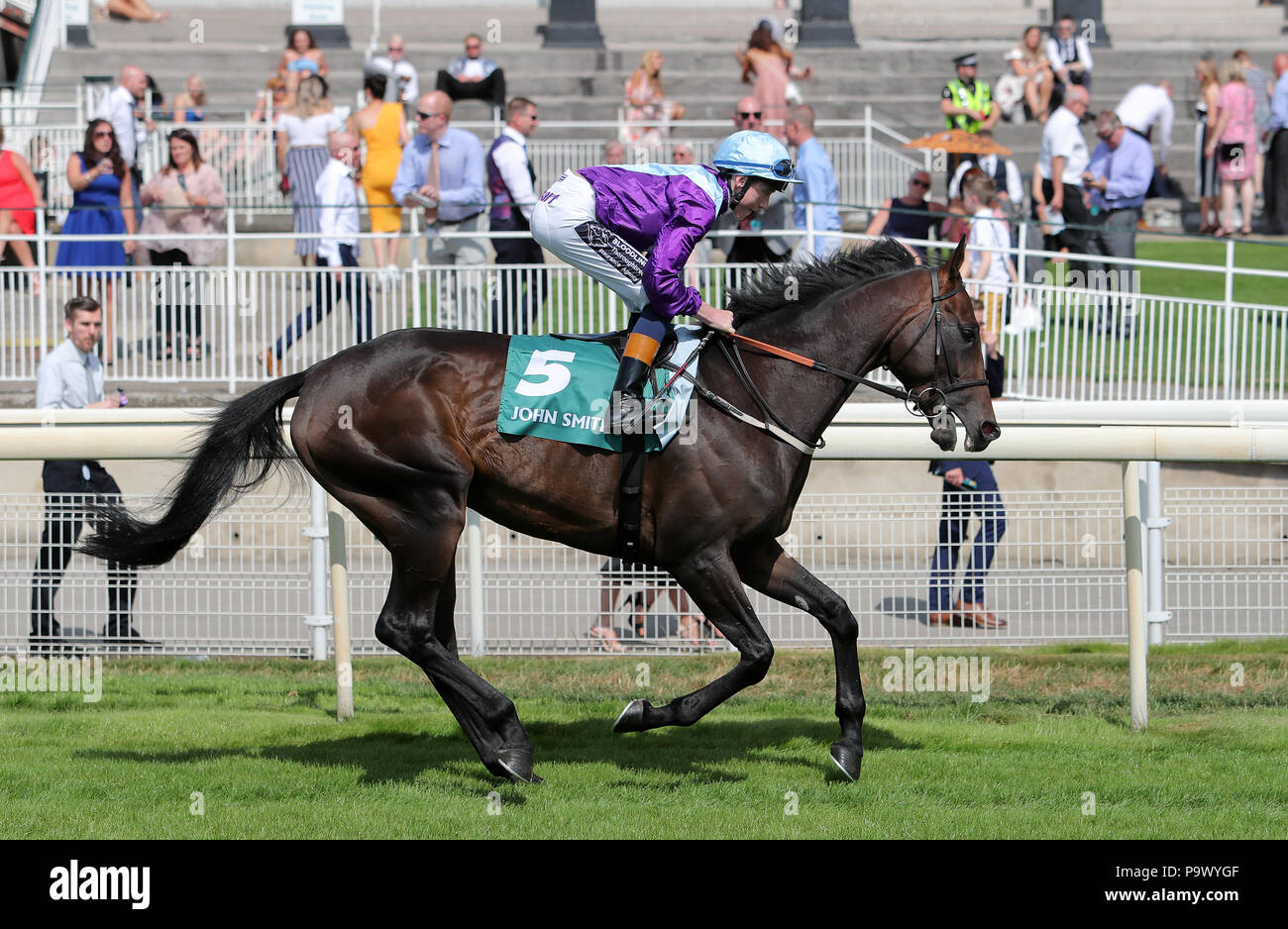 Dash spice ridden hi-res stock photography and images - Alamy