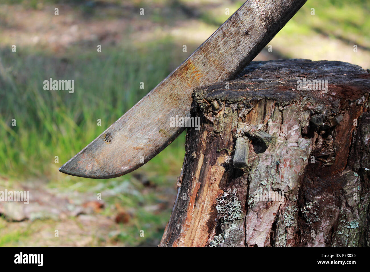 Big machete hi-res stock photography and images - Alamy