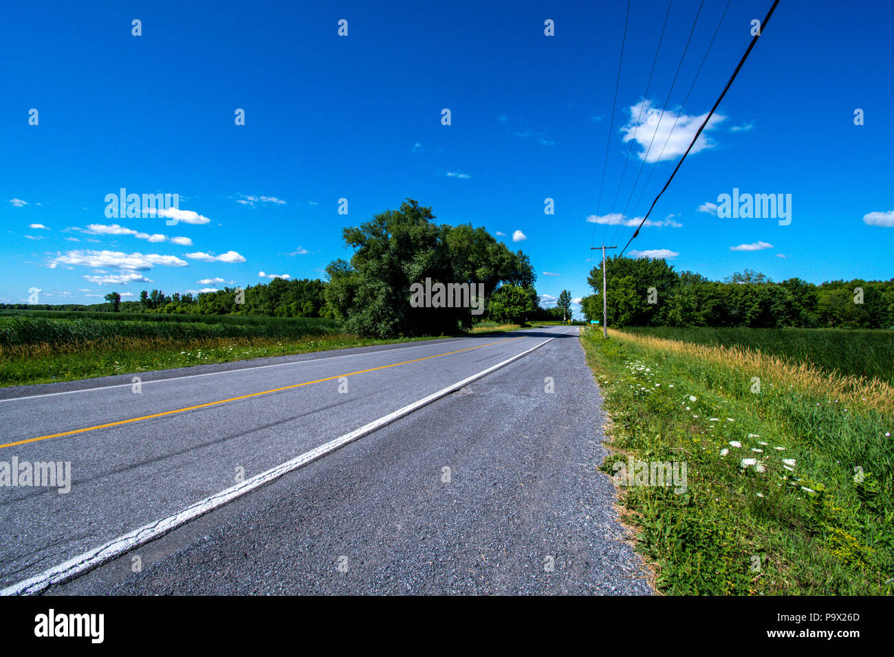 Summer familiar hi-res stock photography and images - Alamy
