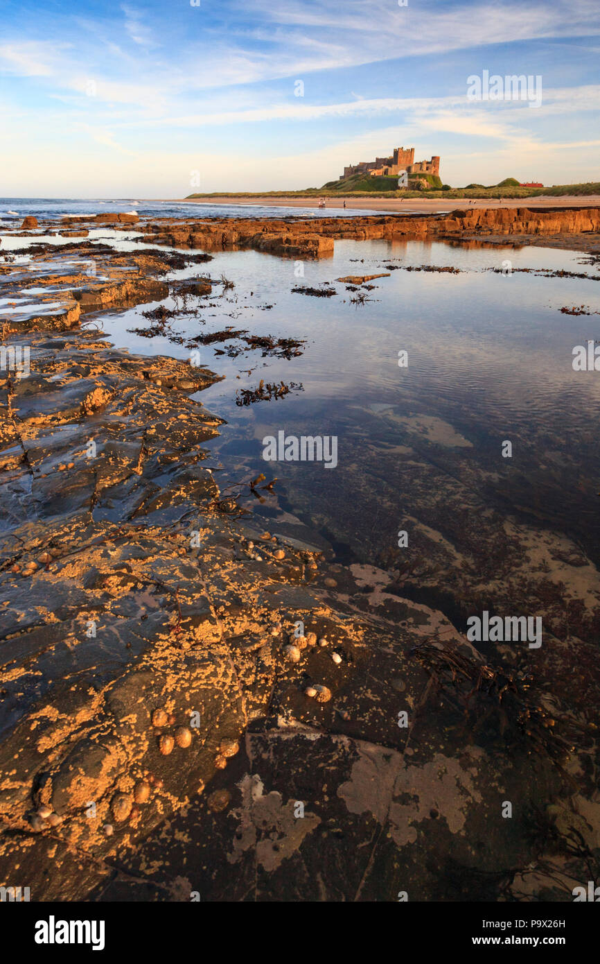 Bamburgh Castle across Harkess Rocks, Northumberland, England Stock ...