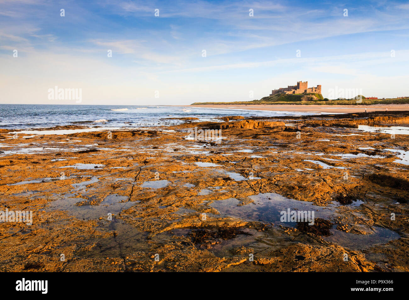 Bamburgh Castle across Harkess Rocks, Northumberland, England Stock ...