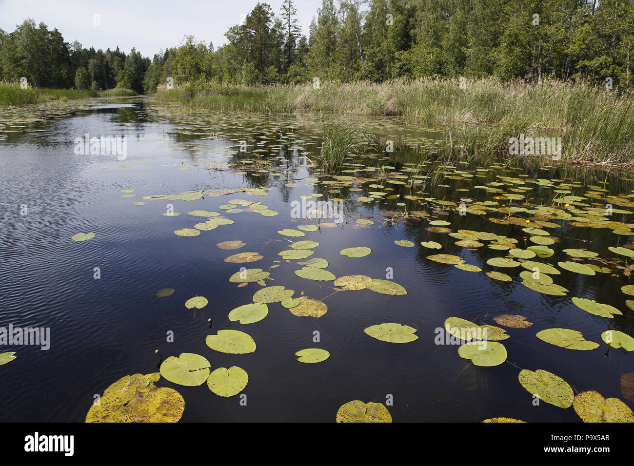 Arboga sweden not stockimo hi-res stock photography and images - Alamy