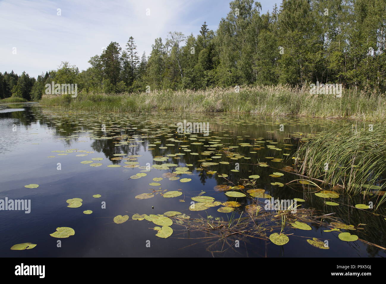 Arboga an hi-res stock photography and images - Alamy